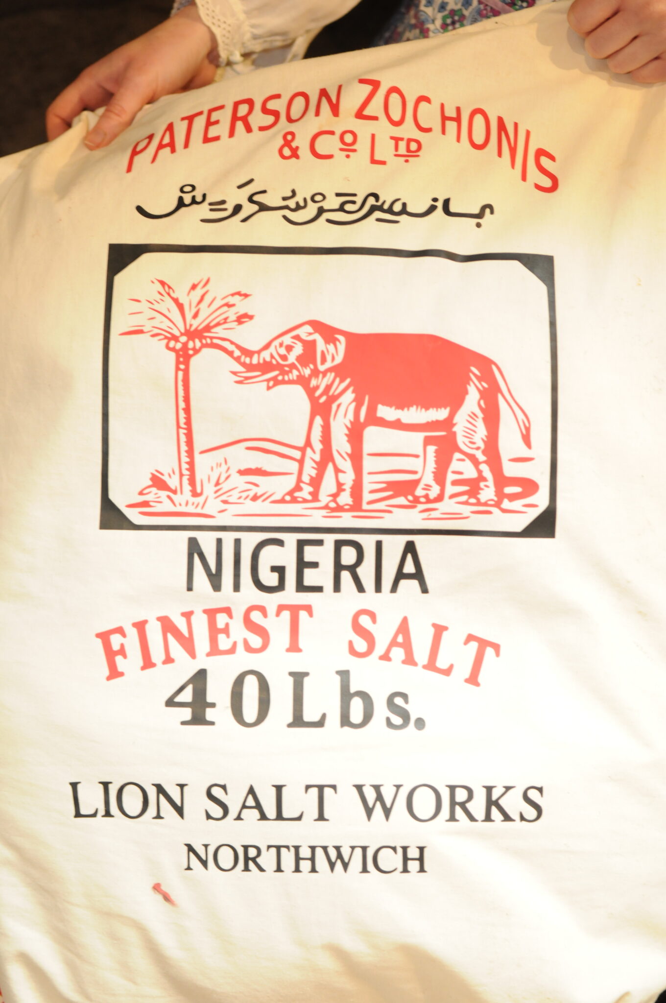 History of the Lion Salt Works